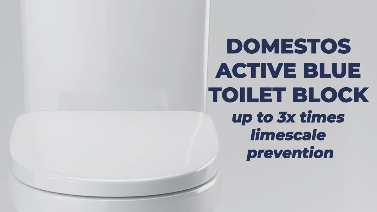 Domestos Power 5 Chlorine Rimblock 55G – The Good Cart SG